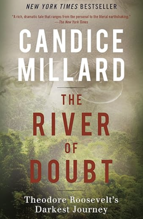 14-day Amazon Rainforest Itinerary: How to visit, where to stay, what ...