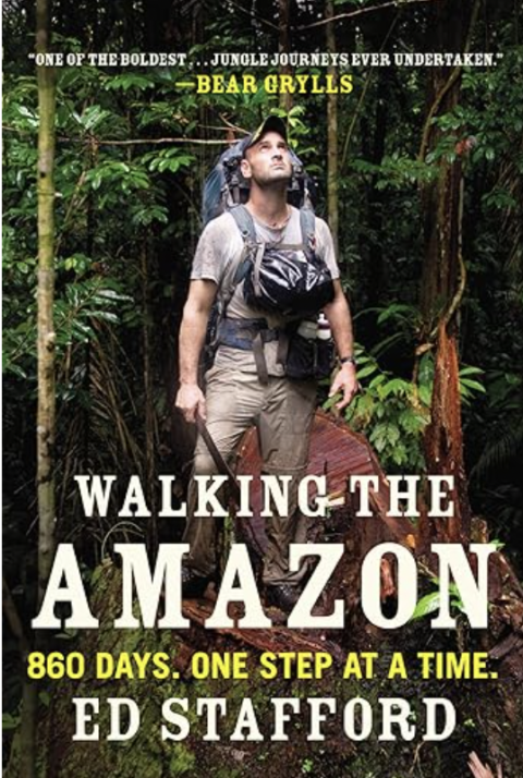 14-day Amazon Rainforest Itinerary: How to visit, where to stay, what ...