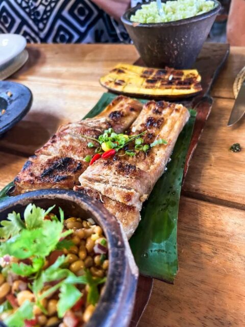 14-day Amazon Rainforest Itinerary: How to visit, where to stay, what ...